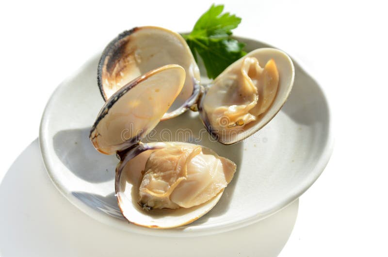 Almeja cocida de Oriente foto de archivo. Imagen de cocinado - 63992218