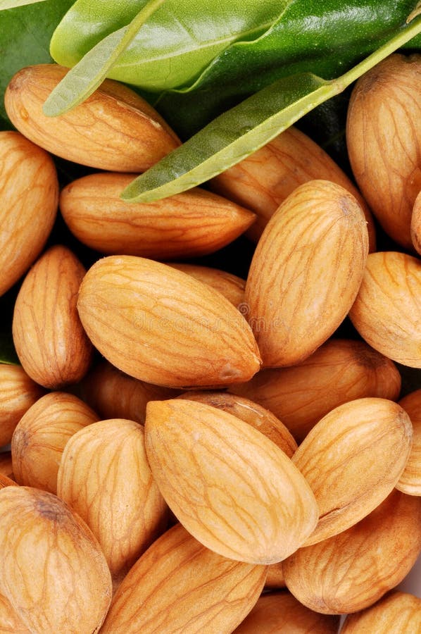 Almendras imagen de archivo. Imagen de dieta, nutritivo - 25405539
