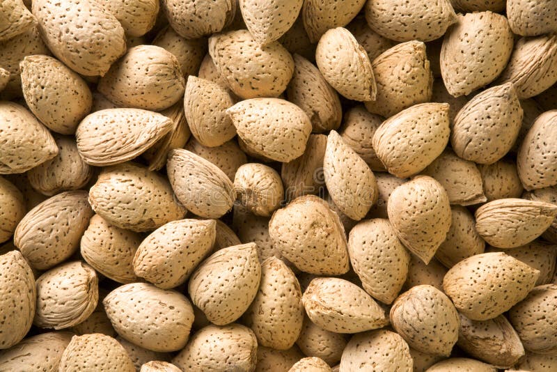 Almendras foto de archivo. Imagen de travieso, entero - 3879234