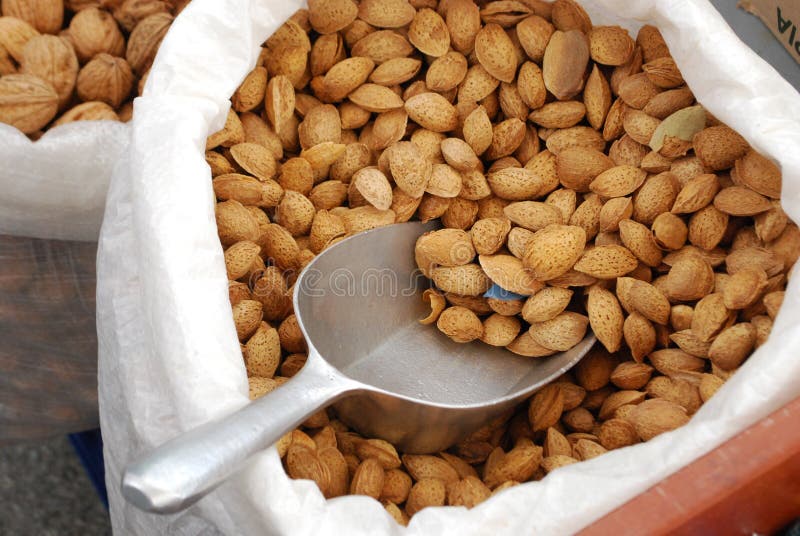 Gordana Jovic (Gogili) - Exclusive Photos