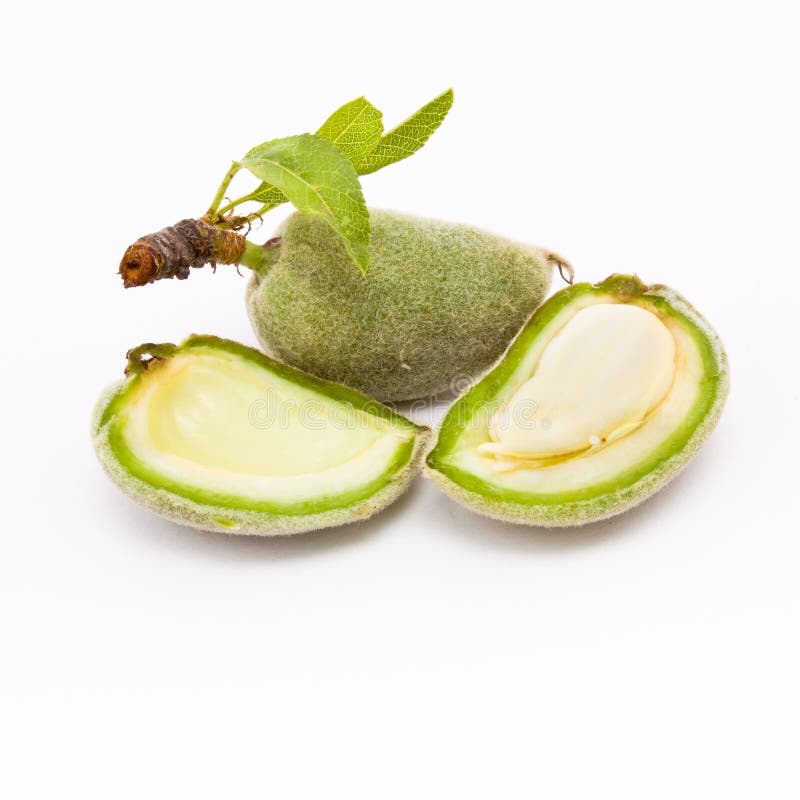 Almendras amargas imagen de archivo. Imagen de inmaduro - 13759589