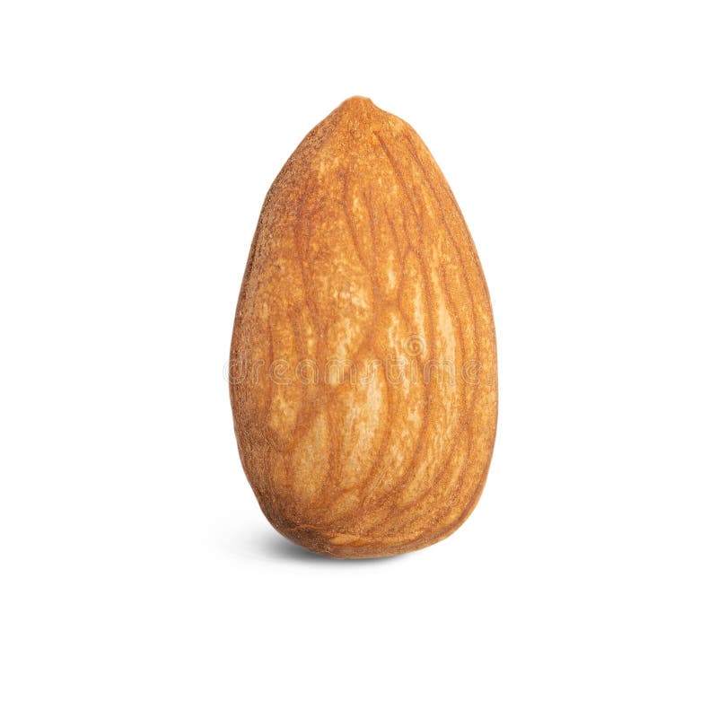 Almendro Aislado En Fondo Blanco Con Trayectoria De Recorte Imagen de ...