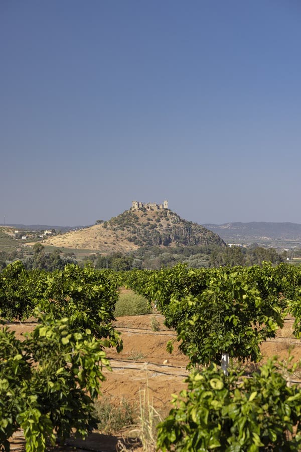 Almodovar Del Rio Castle in Andalusia, Spain Stock Photo - Image of ...
