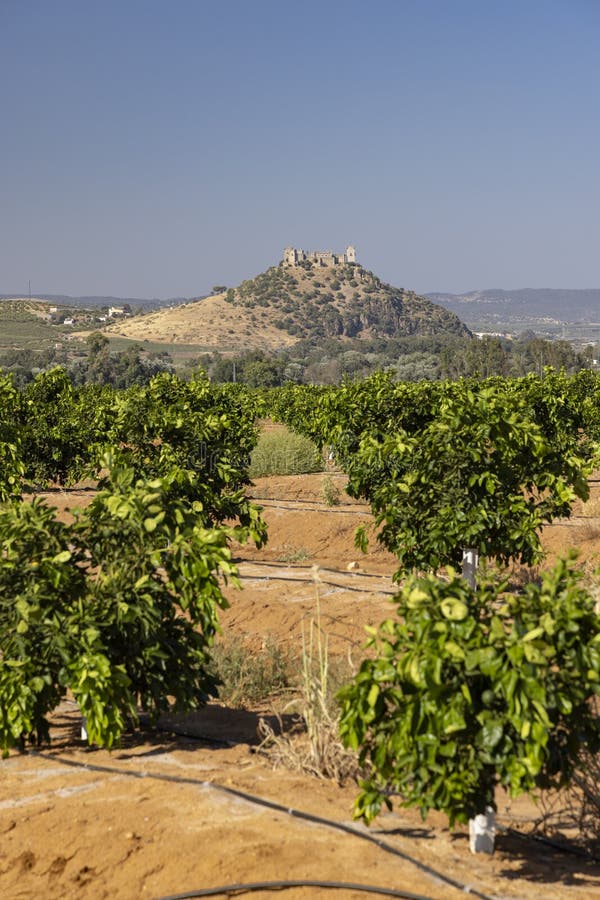 Almodovar Del Rio Castle in Andalusia, Spain Stock Photo - Image of ...