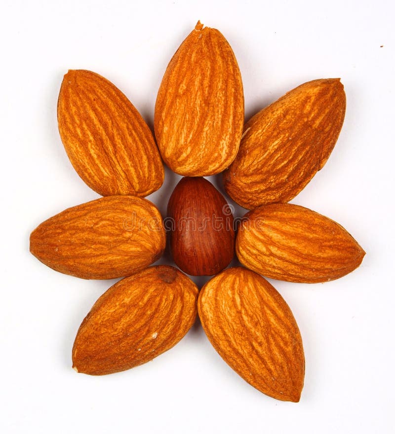 Almond stock photo. Image of lifestyle, abstract, color - 11484402