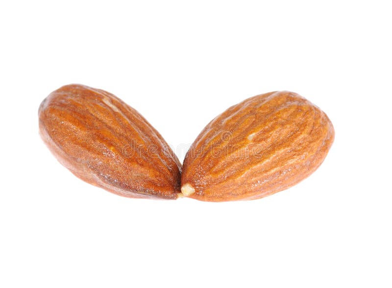 Two Almond Nuts stock photo. Image of communis, health - 5115616