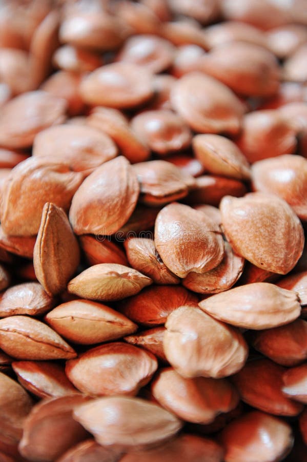 Almond stock image. Image of snack, macro, almond, heap - 16635561
