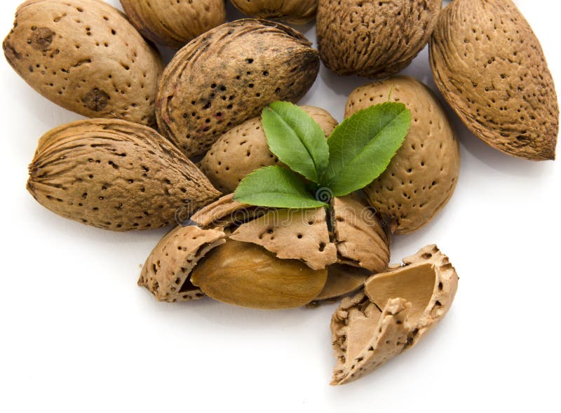 Almond stock photo. Image of background, health, nutcracker - 22540984