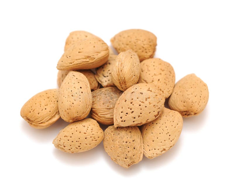Almond stock photo. Image of brown, food, healthy, almond - 29234906