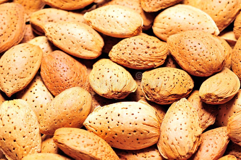 Almond stock image. Image of healthy, closeup, health - 5713347