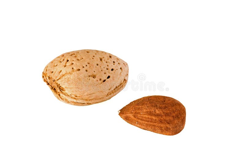 Almond stock image. Image of healthy, fruit, seasonal - 8034565