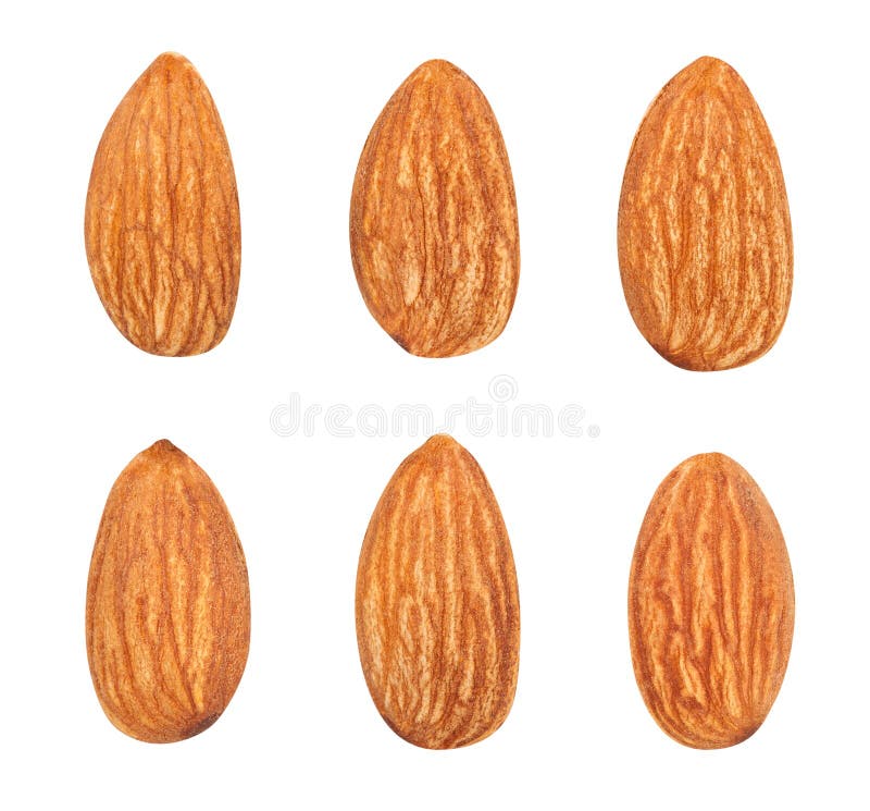 Almond stock image. Image of polyphenol, brown, isolated - 30792081