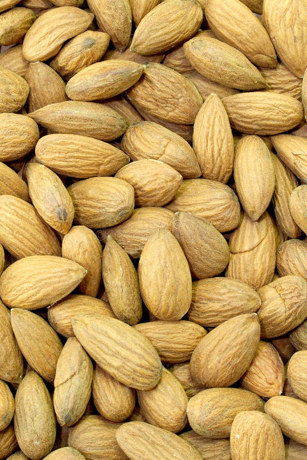 Almond Background Picture. Image: 2850402