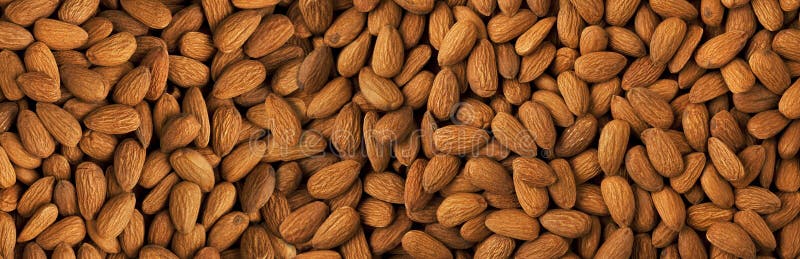 Almond Background Panorama. Stock Image - Image of almond, background ...