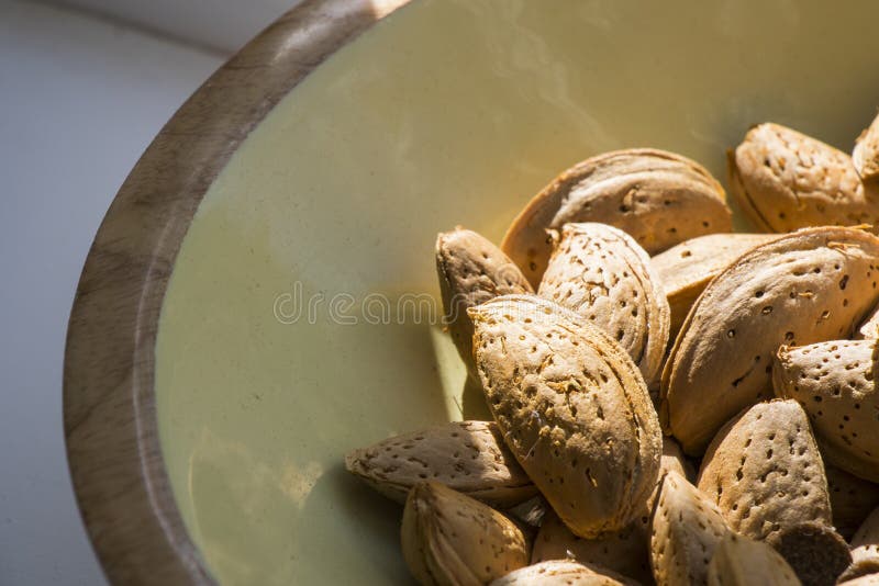 Almond Close-up, Almond with Shell Stock Photo - Image of vegan ...