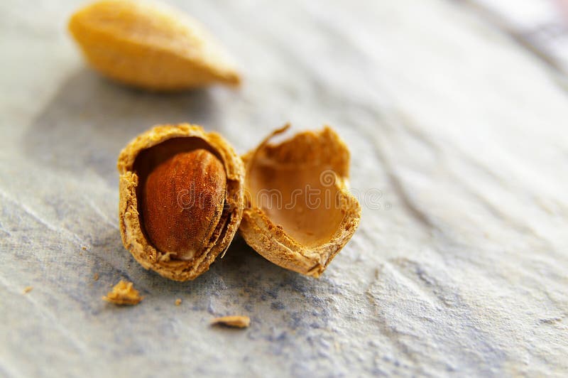 Almond closeup stock image. Image of crunchy, open, crack - 12504563