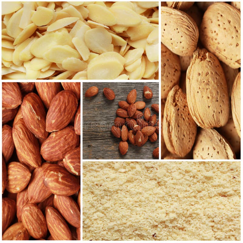 Almond collage stock photo. Image of assortment, collage - 37705976