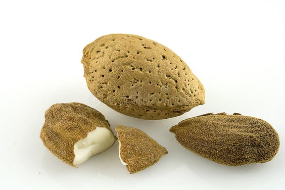 Almond stock image. Image of break, food, almond, nuts - 33614649