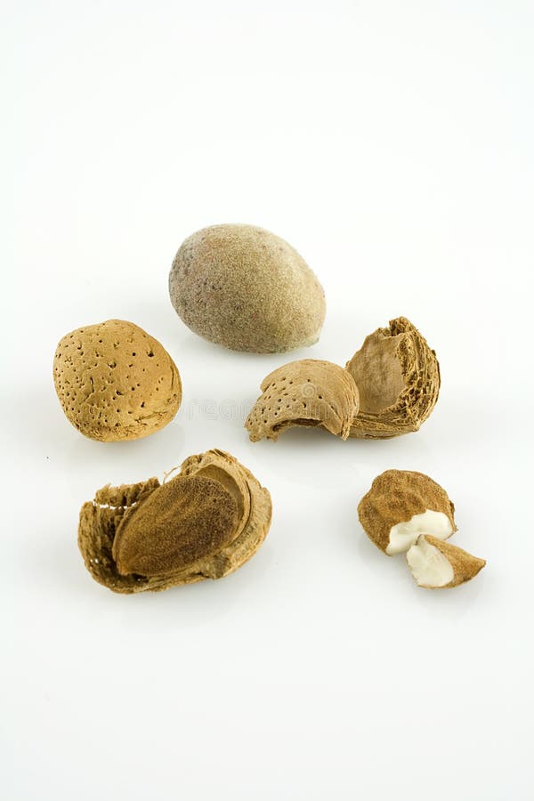 Almond stock image. Image of superfood, break, produce - 33614663