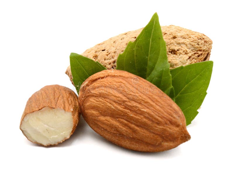 Almond cut. stock photo. Image of fatty, food, brown - 144246680