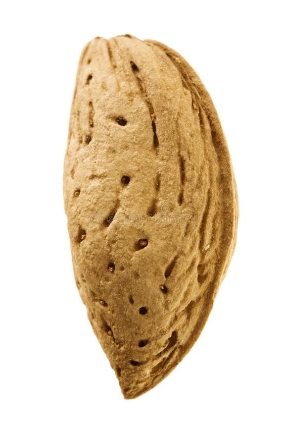 Almond details stock image. Image of nutritious, outside - 3089719