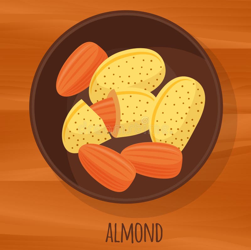 Almond Flat Design Vector Icon. Stock Vector - Illustration of hard ...