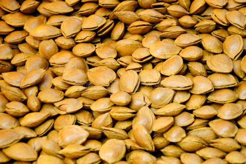 Almond stock image. Image of fruits, thin, asia, flat - 46016345