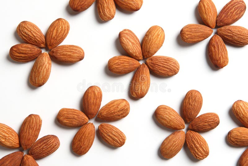 Almond Flowers stock image. Image of kernel, nutrition - 10338823
