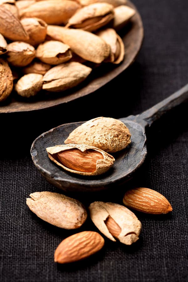 Almond stock image. Image of polyphenol, brown, isolated - 30792081