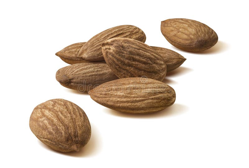 Almond Composition Set Isolated on White Background Stock Photo - Image ...
