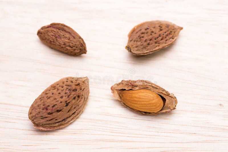 Almond hard shell stock image. Image of exocarp, ingredient - 125880113
