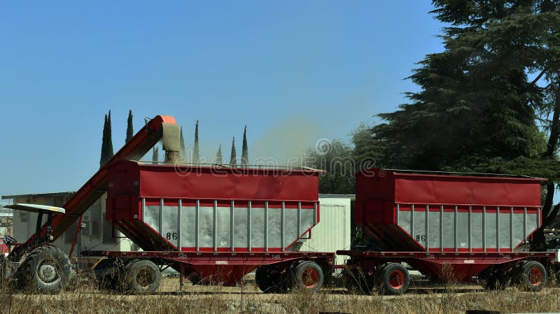 Almond Harvester Load a 18 Wheel Truck Stock Photo - Image of season ...