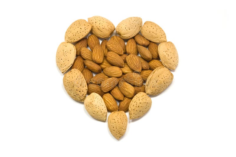 Almond heart stock photo. Image of shell, food, nutritious - 13105290