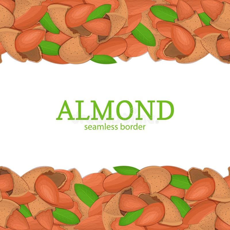 Almond Horizontal Seamless Border. Vector Illustration Card Top and ...