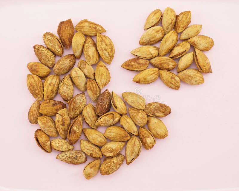 Almond with hull and husk stock photo. Image of peanuts - 37981264