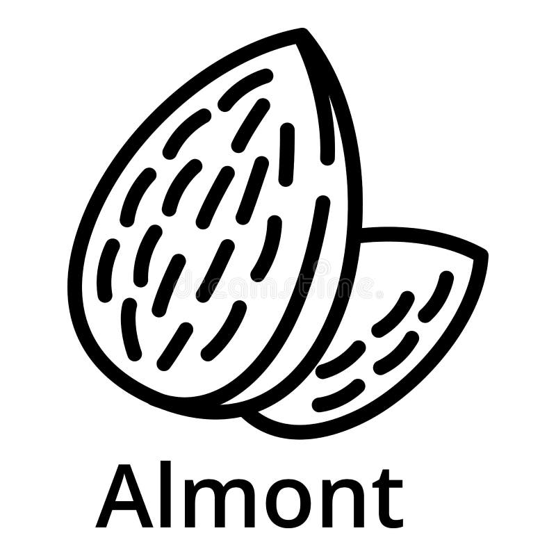 Outline Almond Vector Icon. Isolated Black Simple Line Element ...