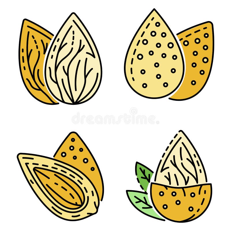 Almond Icon Set Line Color Vector Stock Vector - Illustration of ...
