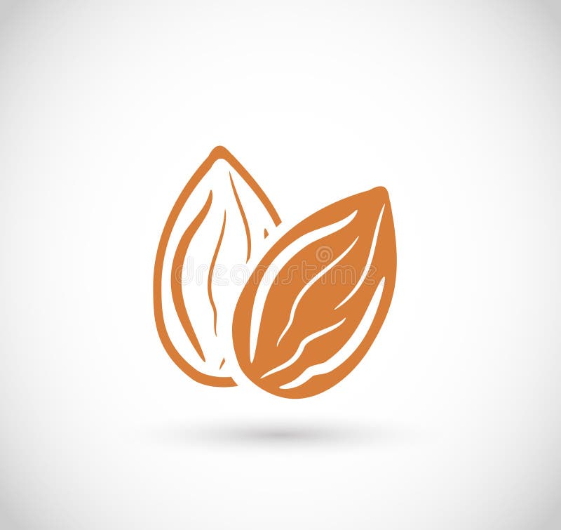 Almond Icon Vector Illustration Stock Illustration - Illustration of ...
