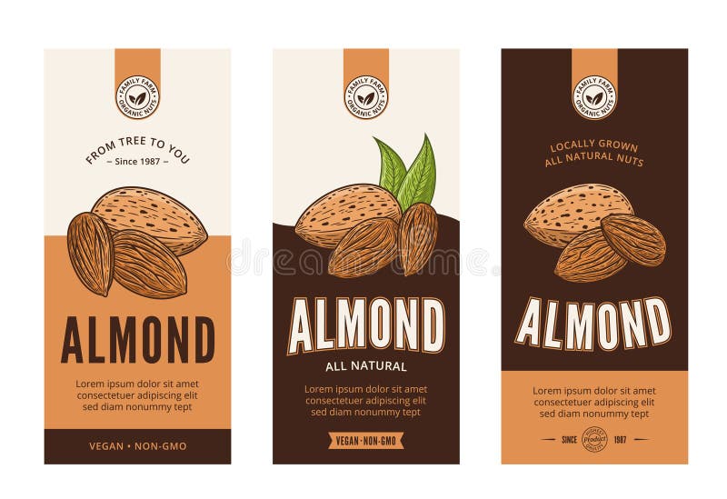 Almond Labels in Modern Style Stock Vector - Illustration of package ...