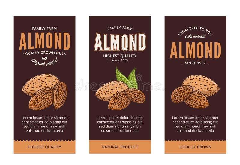 Almond Labels in Modern Style Stock Vector - Illustration of vector, advertising: 307027695