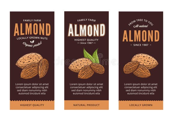 Almond Labels in Modern Style Stock Vector - Illustration of vector ...