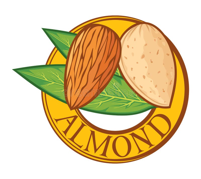 Almond Leaves Label Almond Nut Symbol Almond Sign Stock Illustrations ...