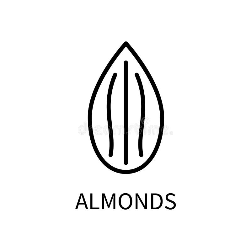 Almond Line Icon Concept. Almond Flat Vector Symbol, Sign, Outline ... Almond Line Icon Concept. Almond Flat Vector Symbol, Sign, Outline ...