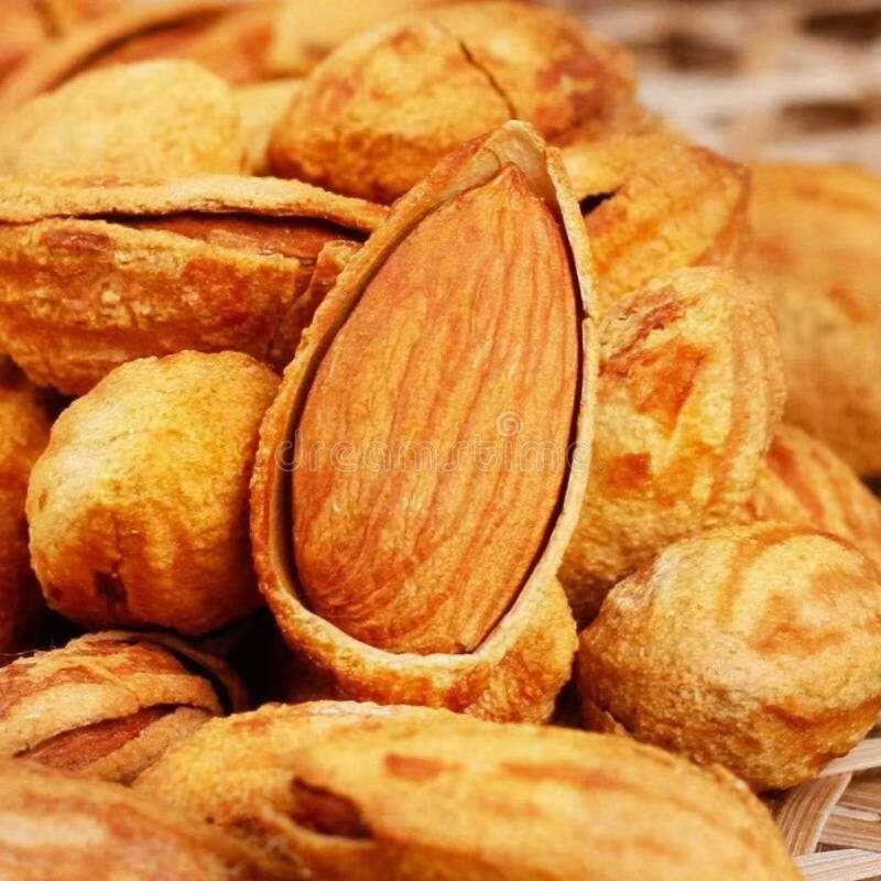 Almond nut badam stock photo. Image of badam, almondmilk - 232052310