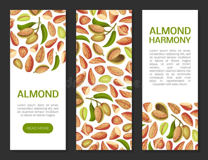 Almond Nut Banner Design with Shell and Kernel Vector Template Stock ...