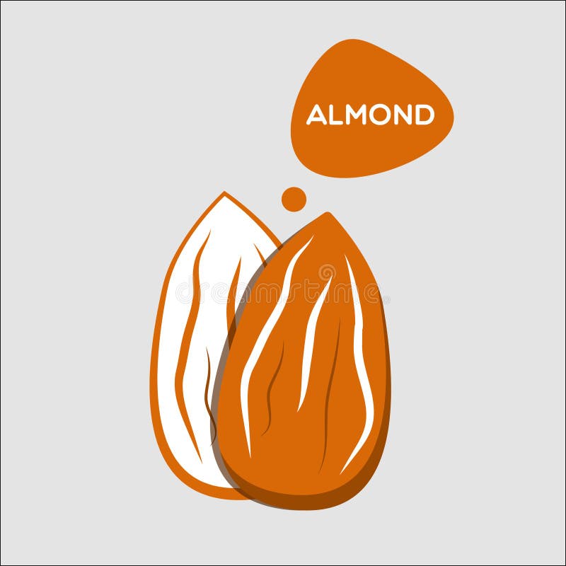 Almond nut icon stock vector. Illustration of brown - 129550709