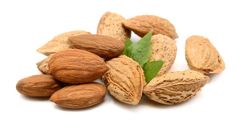 Almond Nut in Shell and Shelled Isolated on White Background Close Up ...