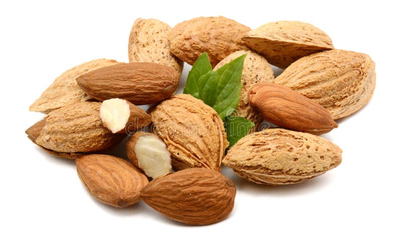 Almonds in Shell Isolated on White Stock Image - Image of seeds ...