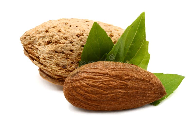 Almond Nut in Shell and Shelled Isolated on White Background Close Up ...