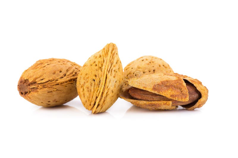 Almond Nut in Shell and Shelled Isolated on White Background Stock ...